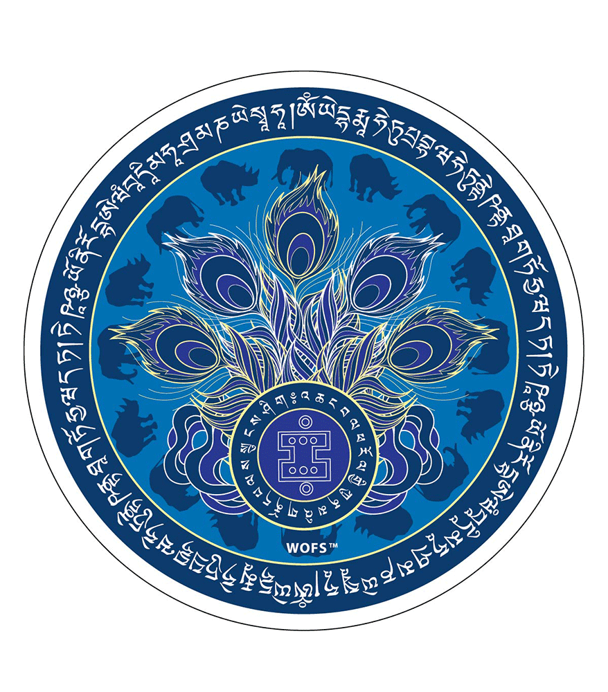 Anti Burglary & Violence Window Sticker 2025 (2 Pieces) – FSMegamall.com